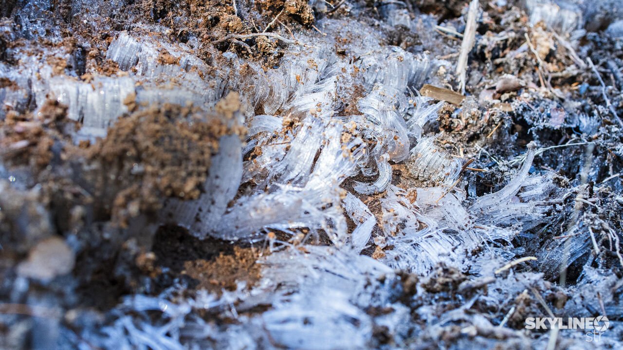 Hiking The Heybrook Lookout Trail (with Pictures) | Skyline STR